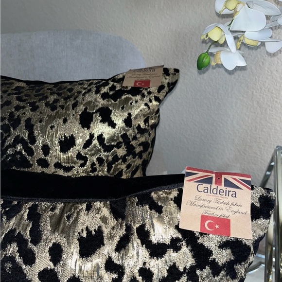 Caldeira Pillows | Accents | Nwt Caldeira Decorative Pillows Read ...